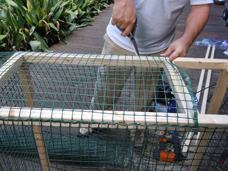 Build your own drop trap for small animals - Allan's Astrophotography Stuff