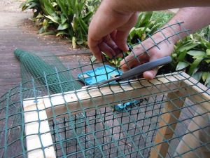 Build your own drop trap for small animals - Allan's Astrophotography Stuff